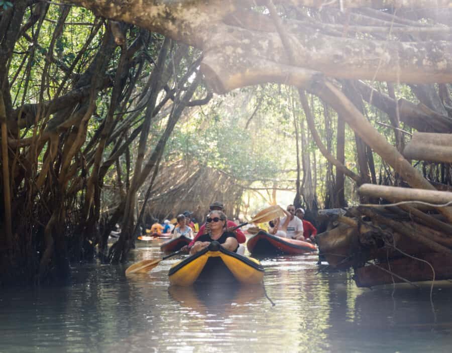 Khao Lak: Little Amazon Canoe & Old Town Tour with Lunch - Who Will Enjoy This Tour?