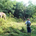 Khao Lak: Unique Dawn Ethical Elephant Sanctuary Experience - Interaction and Care — No Forced Actions