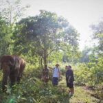 Khao Lak: Unique Dusk Ethical Elephant Sanctuary Experience - Practical Details and Tips