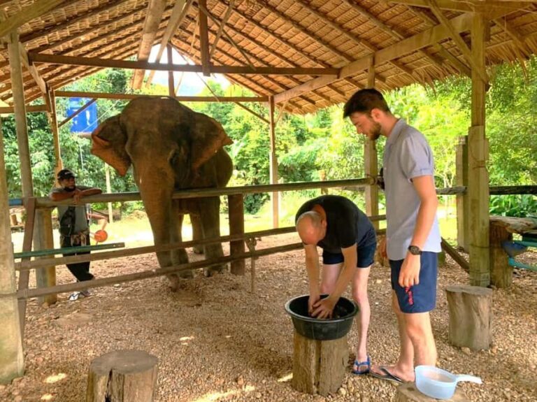 Khao Sok: Elephant Day Care, & Bamboo Rafting Day Tour - What Makes This Tour Stand Out