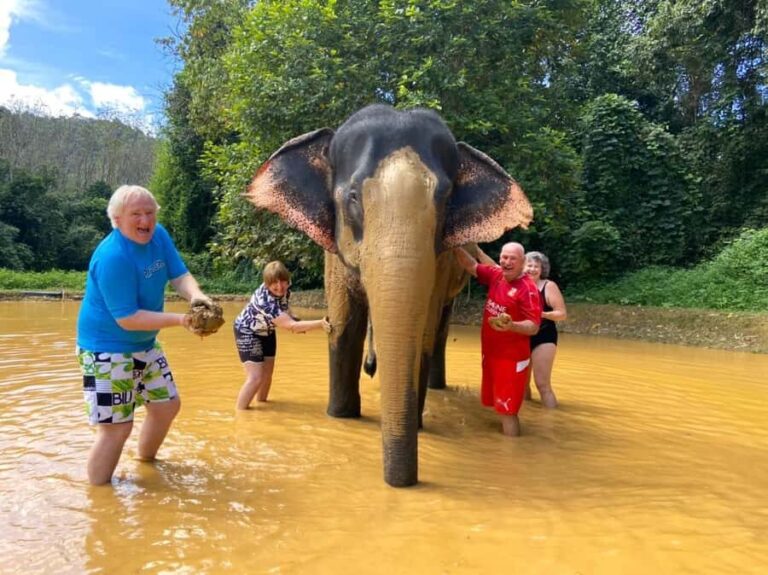 Khao Sok: Elephant Rescue Center with Lunch & Bamboo Rafting - Khao Sok Viewpoint: Picture-Perfect Panorama