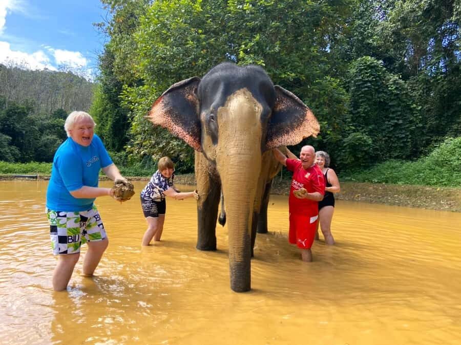Khao Sok: Elephant Rescue Center with Lunch & Bamboo Rafting - Khao Sok Viewpoint: Picture-Perfect Panorama