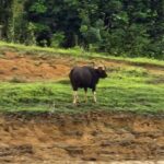 Khao Sok National Park: 3-day nature & jungle tour on Cheow Lan Lake - The Practicalities: What It Means for Travelers