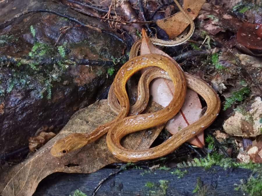 Khao Sok : One day lake trip with Diamond Cave - The Real Deal: What Travelers Are Saying
