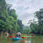 Khao Sok Park: Jungle Kayak Adventure & Wildlife Tour - The Itinerary Breakdown