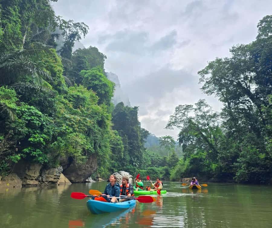 Khao Sok Park: Jungle Kayak Adventure & Wildlife Tour - The Itinerary Breakdown