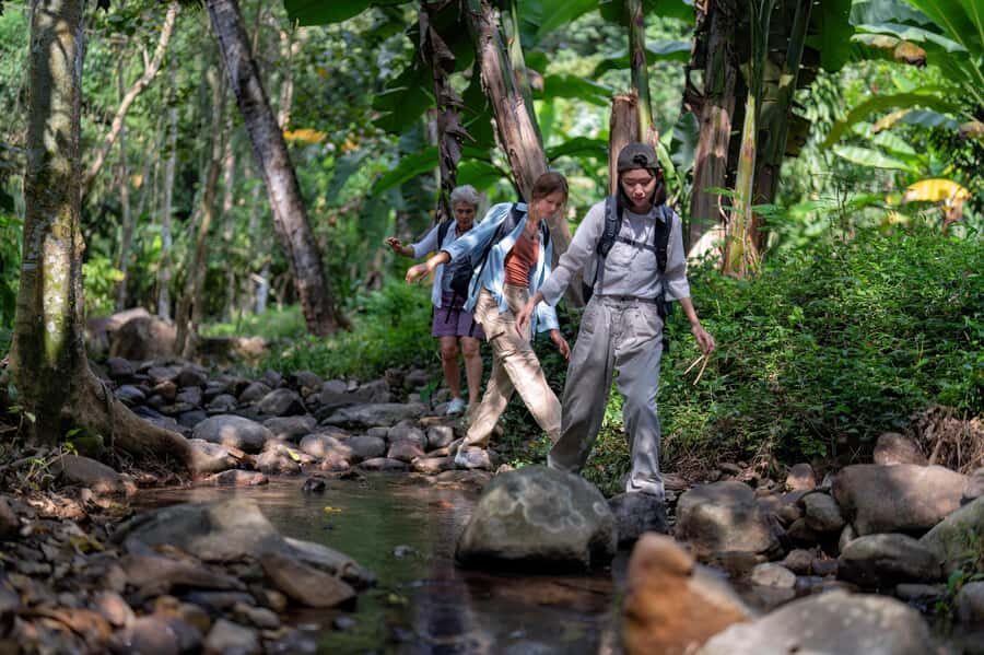 Khao Sok: Sunrise Wildlife Trek with Jungle Breakfast - Authentic Experiences and Value