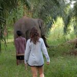 Khao Sok: Unique Dusk Ethical Elephant Sanctuary Experience - Practical Details and Tips