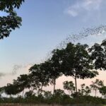 Khao Yai National Park: 2-Day Private Tour from Bangkok - Who Should Book This Tour?