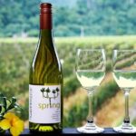 Khao Yai: Private Custom Tour with Driver From Bangkok - Practical Aspects and Value