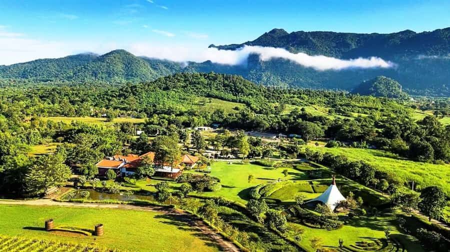 Khao Yai Vineyard Tasting Tour & Horse Farm Visit - Practical Details and What to Know