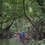 Khaolak: Little Amazon and Wat Khongkha Phimuk (Half Day) - Practical Details and Value