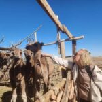 Khiva: Silk Road Tour - An in-depth look at the itinerary and what makes each stop memorable