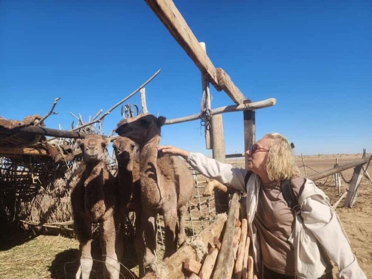 Khiva: Silk Road Tour - An in-depth look at the itinerary and what makes each stop memorable