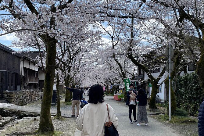 Kimono Experience in Akizuki Castle Town - The Itinerary: What to Expect