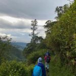 Kingston: Blue Mountain Peak Hike and Coffee Farm Experience - Practical Considerations