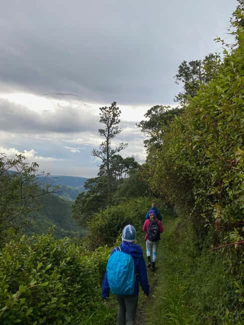 Kingston: Blue Mountain Peak Hike and Coffee Farm Experience - Practical Considerations