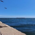 Kingston City Tour - Who Will Love This Tour?