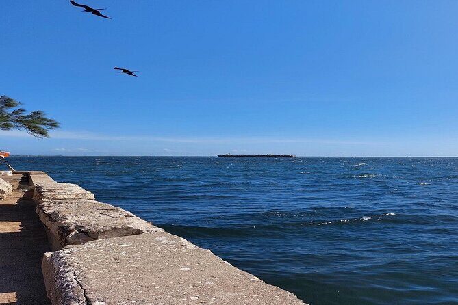 Kingston City Tour - Who Will Love This Tour?