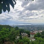 Kingston like a local  the authentic city tour - What makes this tour special?