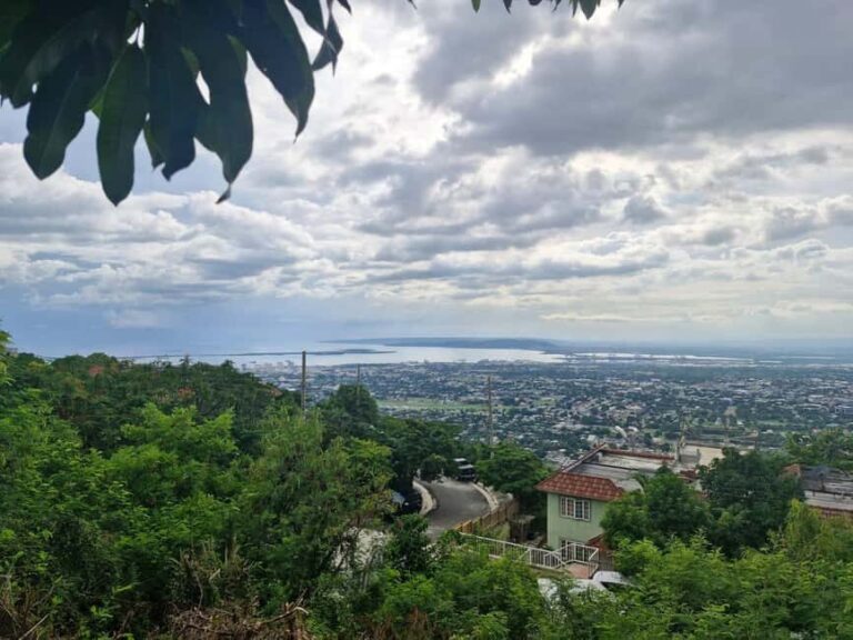 Kingston like a local  the authentic city tour - What makes this tour special?