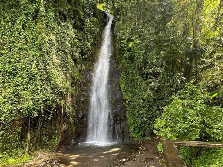 Kingstown: Cascading Dark View Falls and Beach Tour - Authentic Experiences and Authenticity