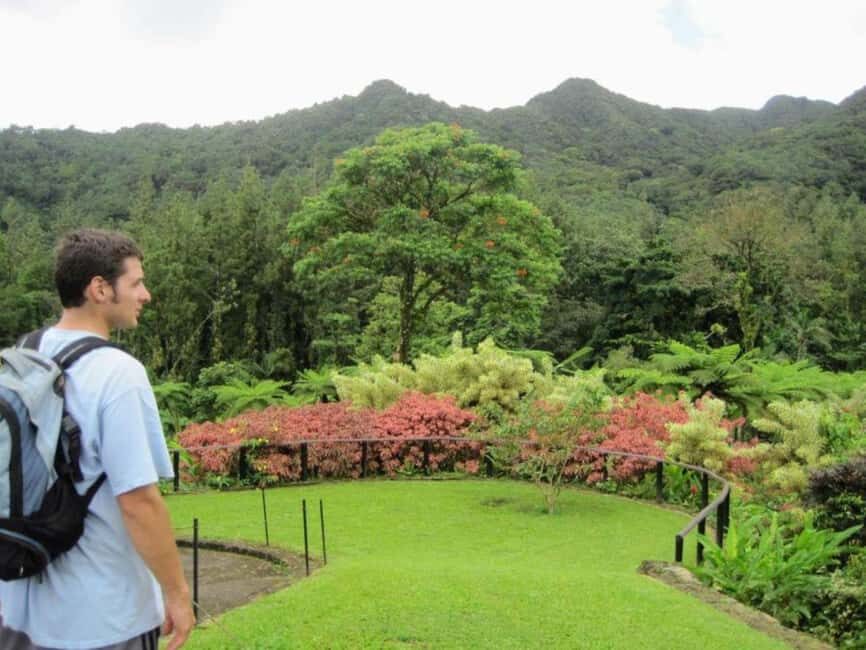 Kingstown: Montreal Gardens and Belmont Lookout Tour - The Highlights: Montreal Gardens and Belmont Lookout