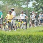 Kintamani to Ubud Downhill Cycling Tour - The Experience in Context: Authenticity and Value
