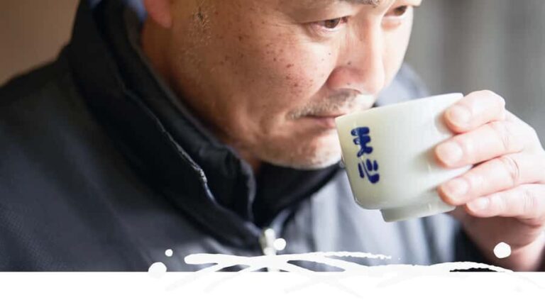 Kitakyushu: Mizokami Brewery Tour and Sake Tasting - Who will enjoy this tour most?