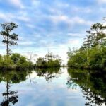 Kitty Hawk Maritime Forrest and Marsh Tour - Who Will Love This Tour?