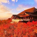 Kiyomizu Temple Fushimi Inari and Nara Park day Tour Kyoto/Osaka - Who Will Love This Tour?