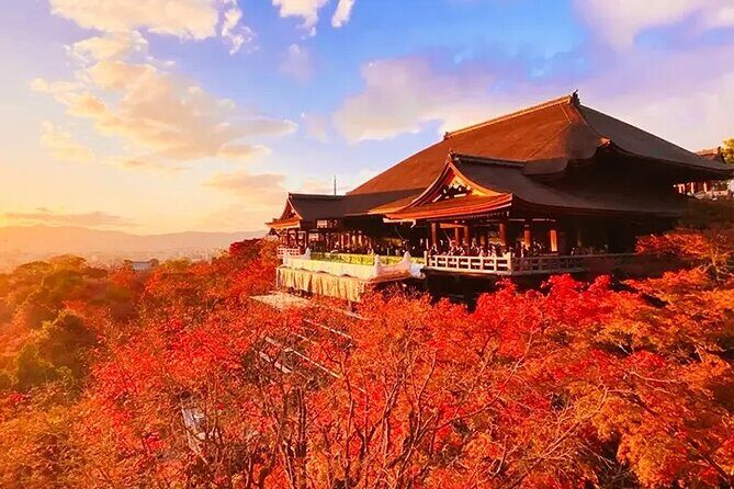 Kiyomizu Temple Fushimi Inari and Nara Park day Tour Kyoto/Osaka - Who Will Love This Tour?