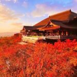 Kiyomizu Temple, Fushimi Inari Taisha: Kyoto & Nara Park Day Tour - The Enchanting Fushimi Inari Taisha