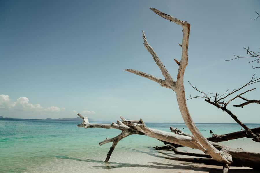 Ko Lanta: Early Bird the Emerald Caves and Koh Kradan Tour - Why This Tour Stands Out