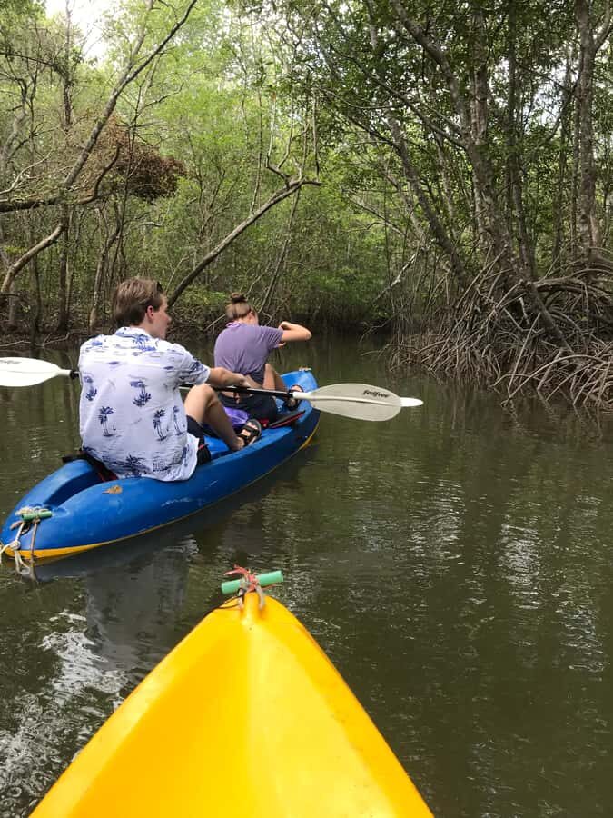 Ko Lanta: Mangrove Kayaking Tour with Lunch & Wildlife - The Details: Navigating the Itinerary