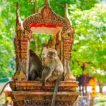 Ko Lanta: Private Tiger Cave, Hot Spring & Emerald Pool Tour - Relaxation at Krabi’s Hot Springs