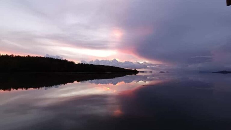 Ko lanta: Sunrise kayaking Through Mangrove Waterways - Why This Tour Matters