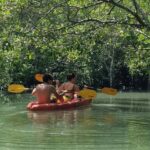 Ko Lanta: The Mangrove Kayaking Experience + Local Lunch - An In-Depth Look at the Mangrove Kayaking Tour