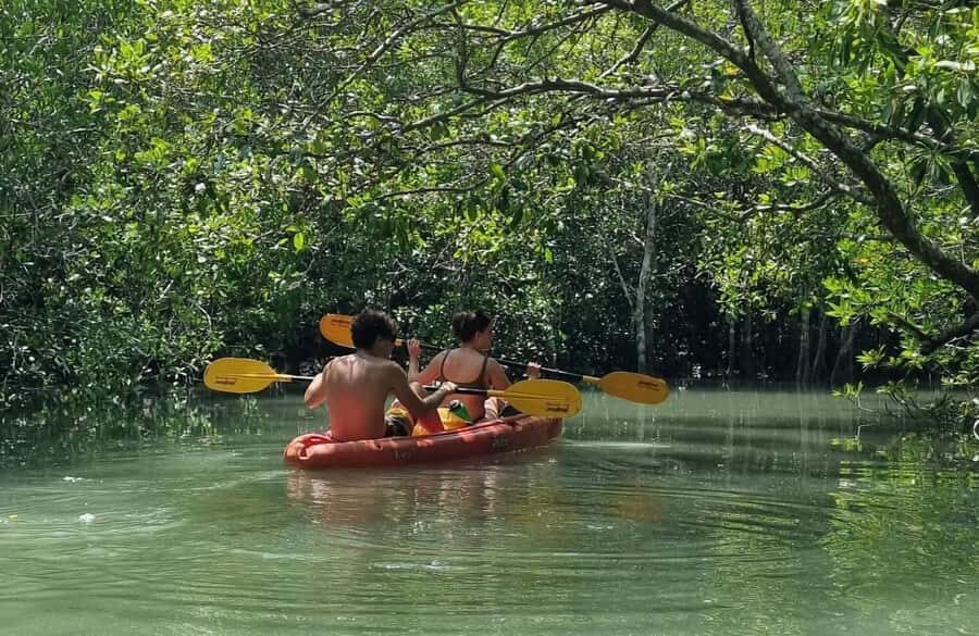 Ko Lanta: The Mangrove Kayaking Experience + Local Lunch - An In-Depth Look at the Mangrove Kayaking Tour