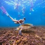 Ko Pha Ngan: Koh Tao & Koh Nangyuan Snorkeling Adventure - The Itinerary in Detail