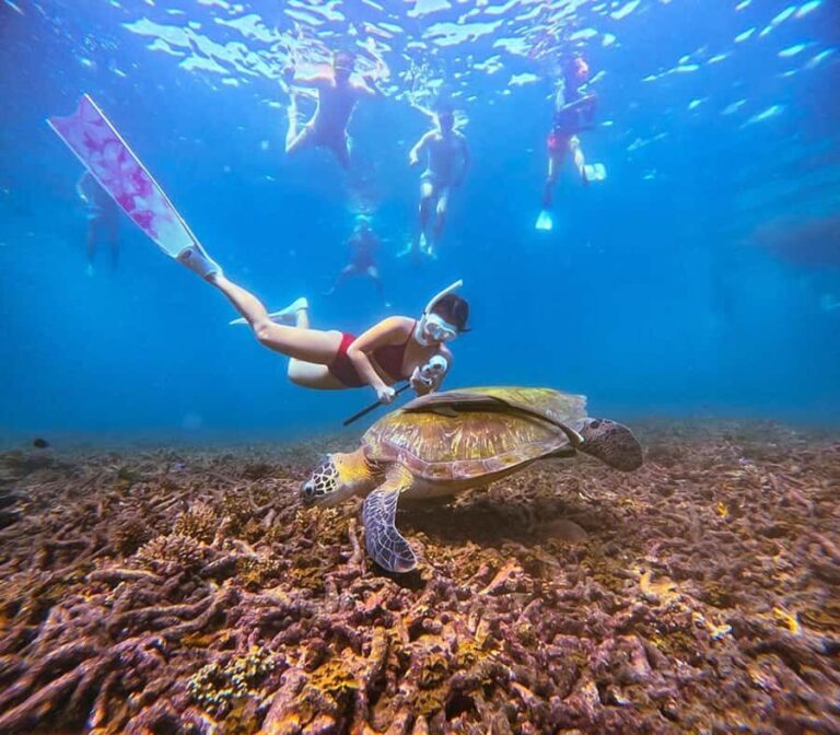 Ko Pha Ngan: Koh Tao & Koh Nangyuan Snorkeling Adventure - The Itinerary in Detail