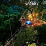 Ko Samui: Jungle Zipline & Waterfall Adventure with Drink - An Overview of the Adventure