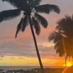 KOA to Waikoloa Resorts Luxury Private Round Trip Transfer - Authentic Experiences and Traveler Perspectives