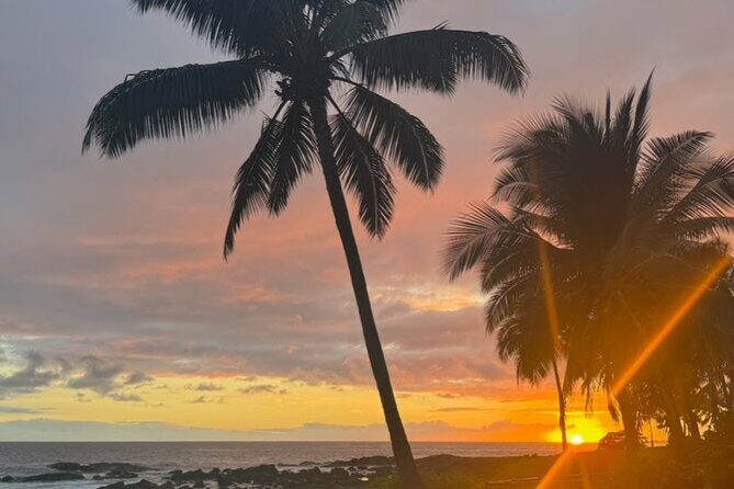 KOA to Waikoloa Resorts Luxury Private Round Trip Transfer - Authentic Experiences and Traveler Perspectives