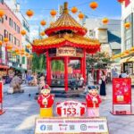 Kobe City Highlights Tour Ikuta Shrine Chinatown and Port Tower - Who Will Love This Tour?