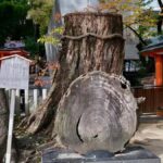 Kobe: Guided Walking Tour with Kobe Beef Lunch - Tour Details and Practicalities