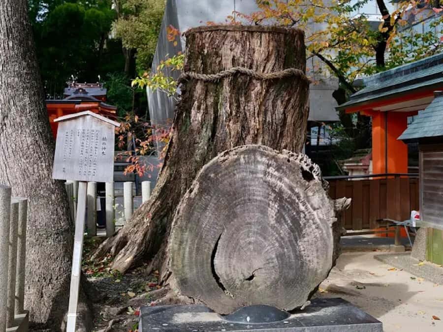 Kobe: Guided Walking Tour with Kobe Beef Lunch - Tour Details and Practicalities