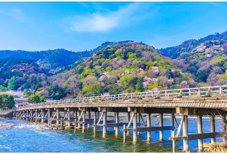 Kobe: Kyoto Day Trip with Fushimi Inari & Arashiyama - Why This Tour Offers Good Value