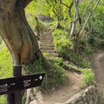 Kobe: Night Hike Adventure with local dinner - The Value of This Experience