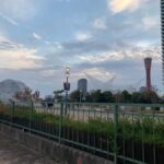 Kobe: Private Walking Tour with a Local Guide - What Makes This Tour Stand Out?